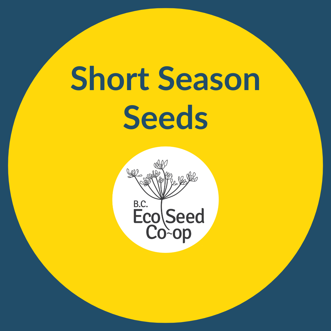 Short Season Seeds – BC Eco Seed Co-op
