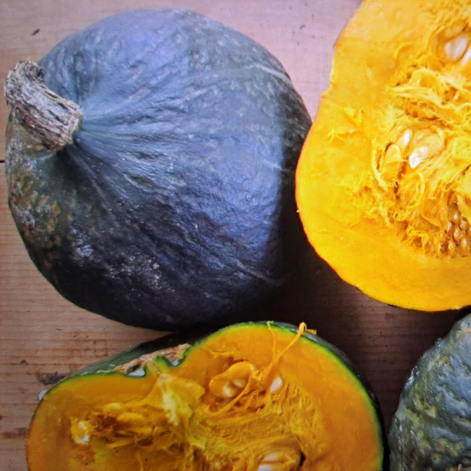 Organic & Ecological BC-Grown Vegetable, Flower, Herb and Grain Seeds ...