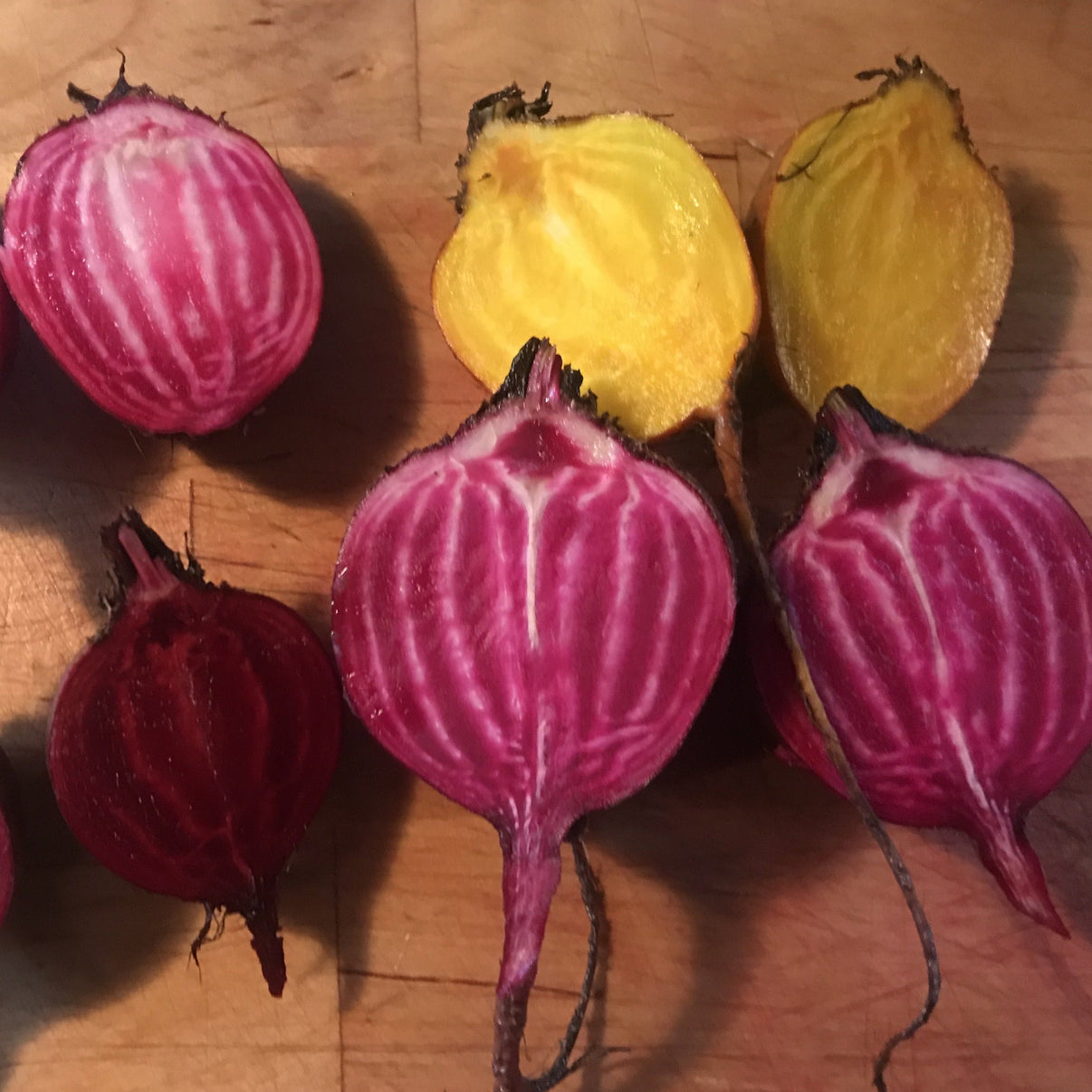 Stripes 'n Gold Beet – BC Eco Seed Co-op