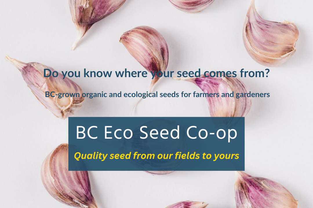 Organic & Ecological BC-Grown Vegetable, Flower, Herb and Grain Seeds ...