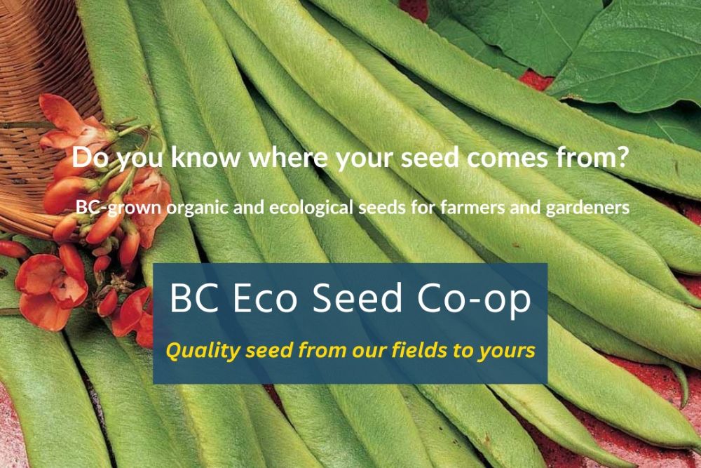 Organic & Ecological BC-Grown Vegetable, Flower, Herb and Grain Seeds ...