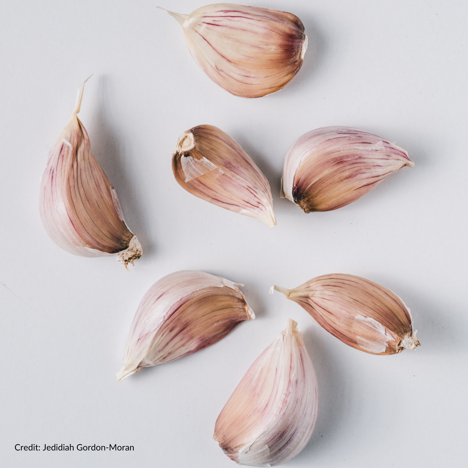 Organic & Ecological BC-Grown Vegetable, Flower, Herb and Grain Seeds ...